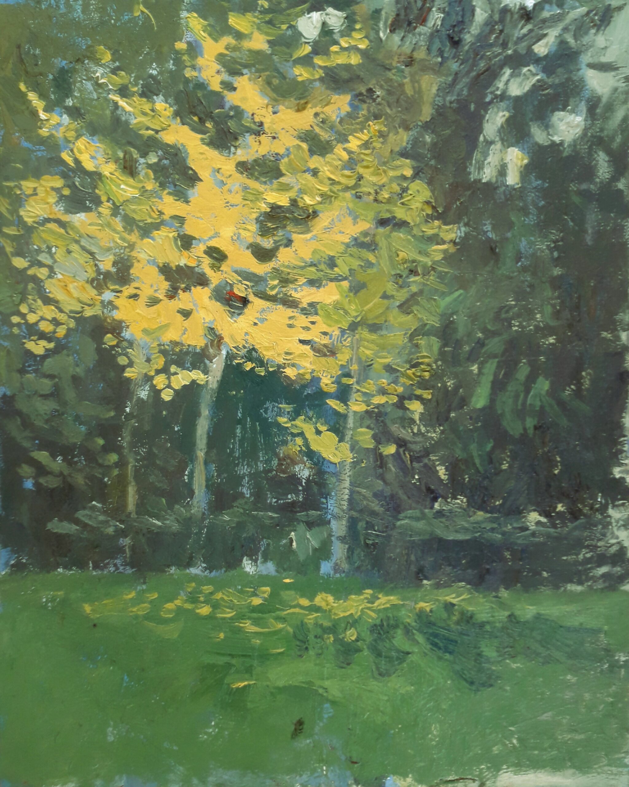 Les premiers jaunes – Jean-Marie Brault